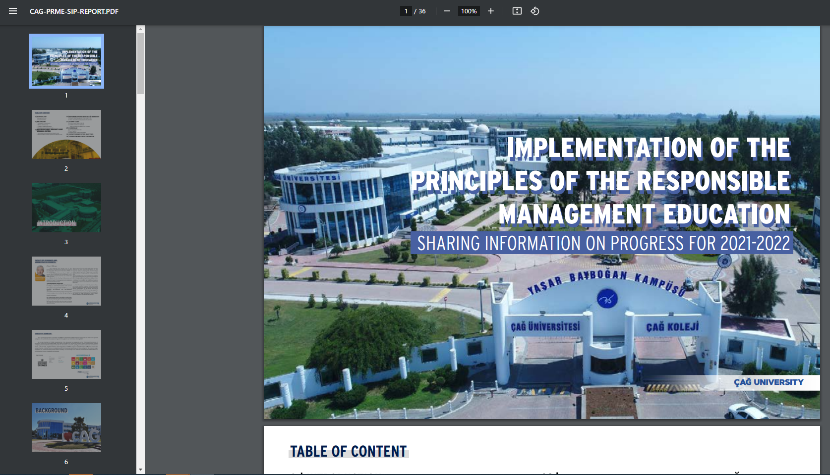 United Nations Principles for Responsible Business Education (PRME)